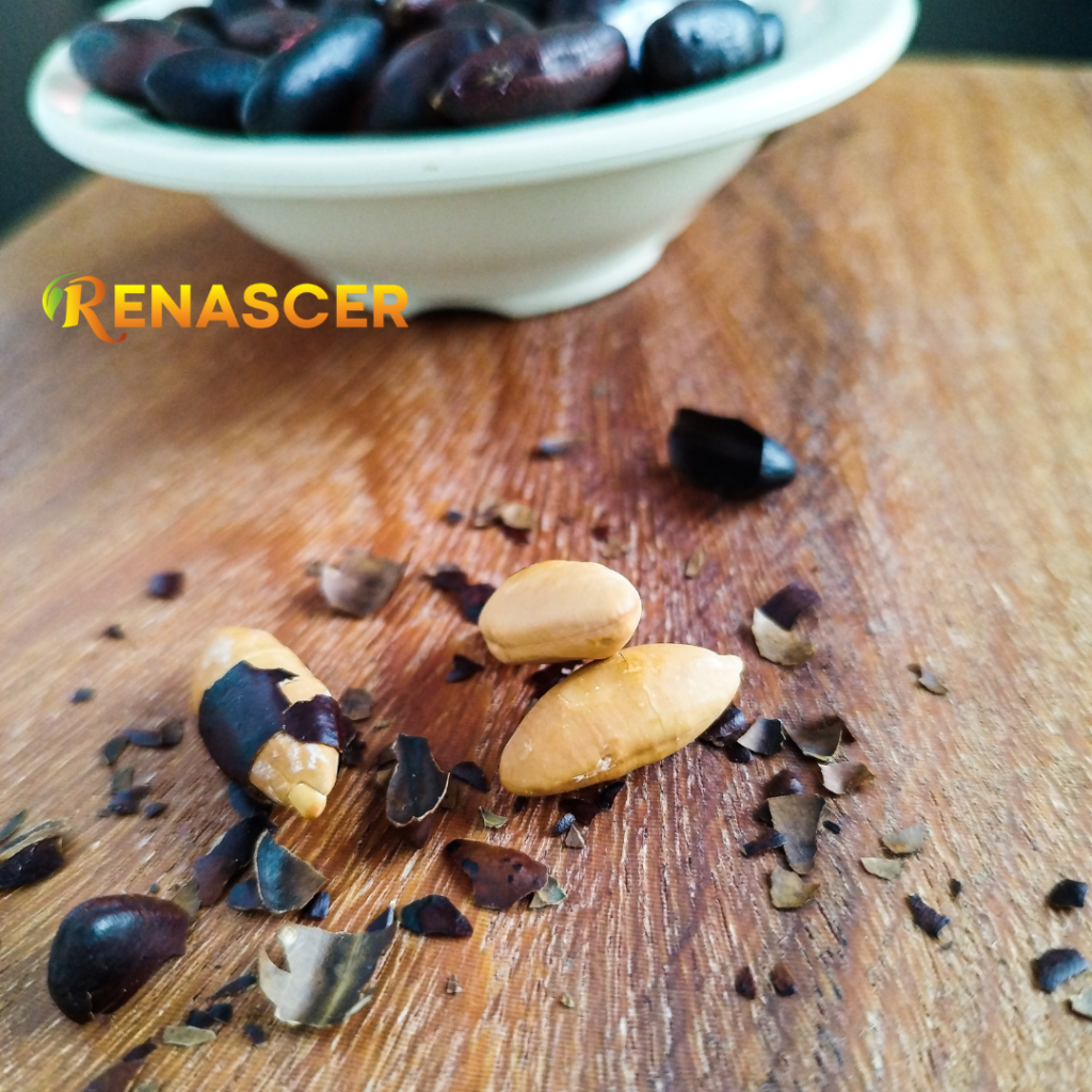 Almendra chiquitana – NAPS